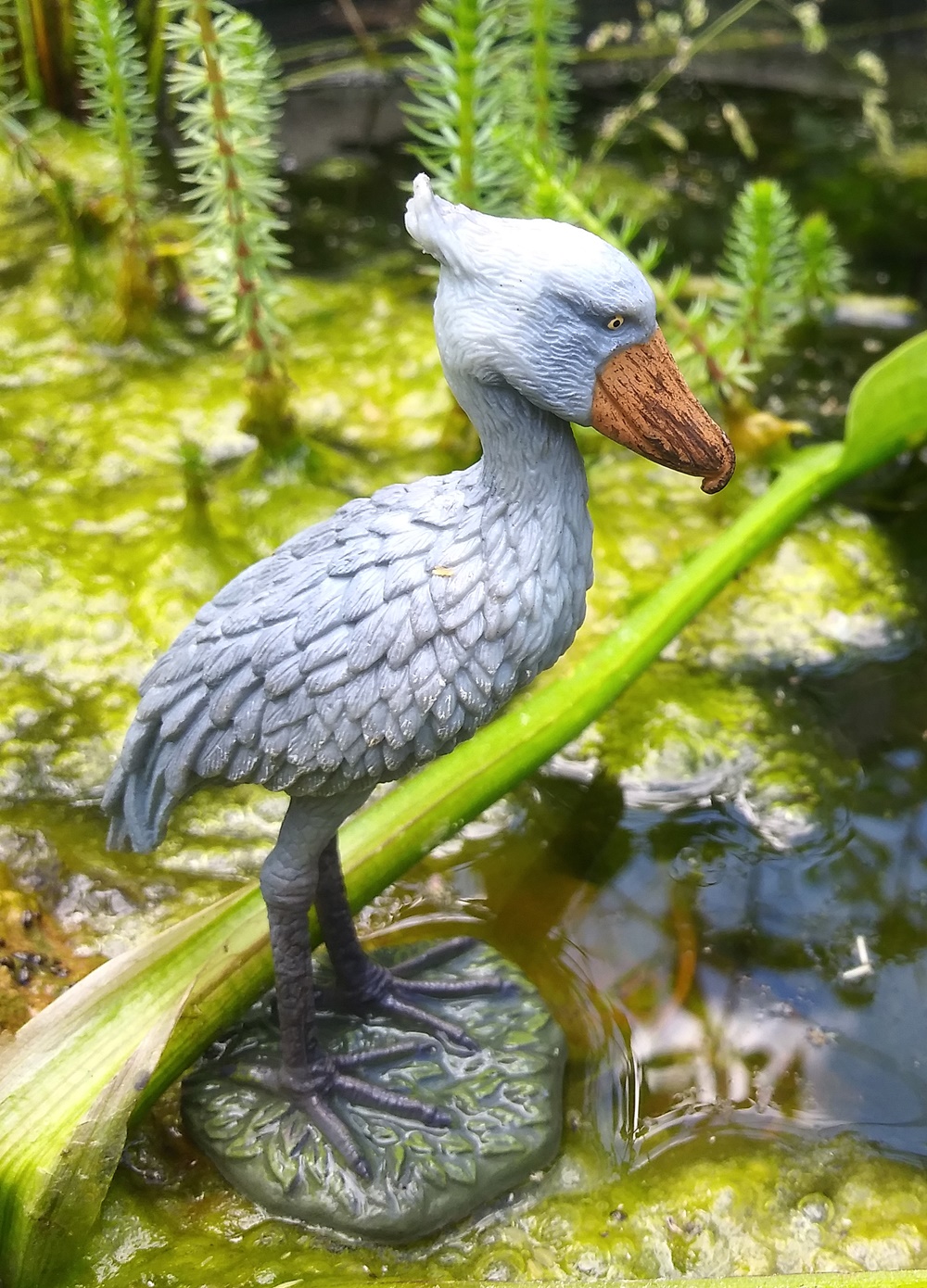 Shoebill (Wildlife by CollectA) - Animal Toy Blog