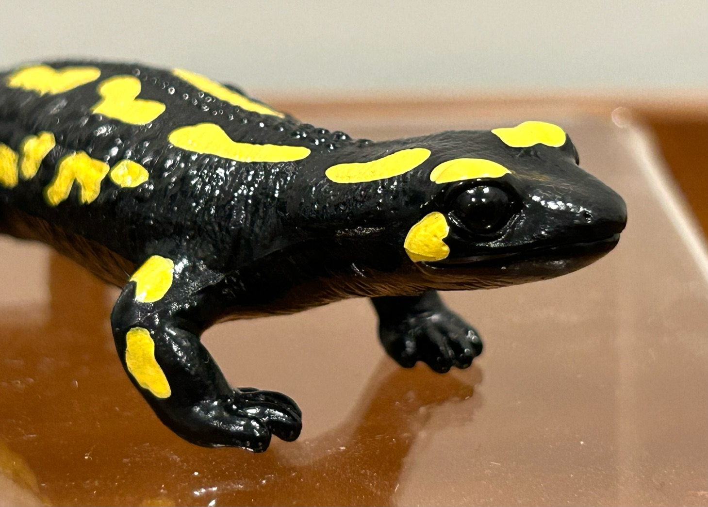 Fire Salamander (Wild Life Europe by Schleich) - Animal Toy Blog