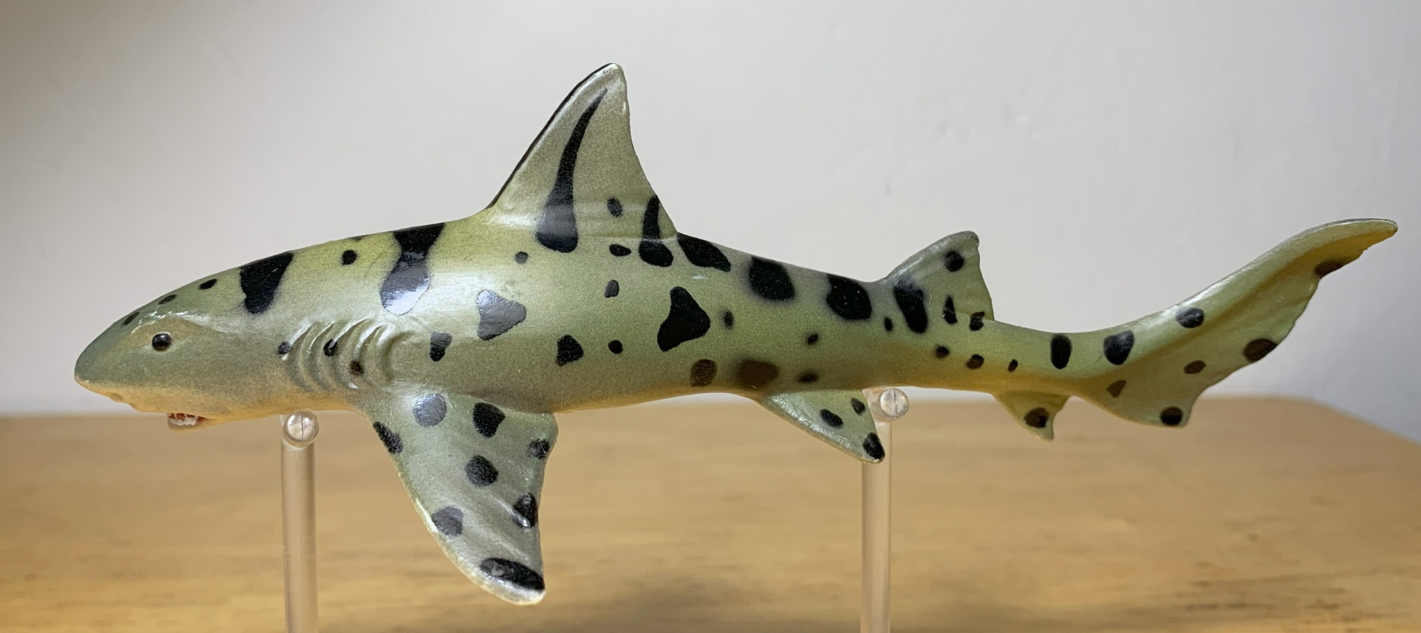 Leopard Shark, 1996 (Wild Safari Sealife by Safari Ltd.) - Animal Toy Blog